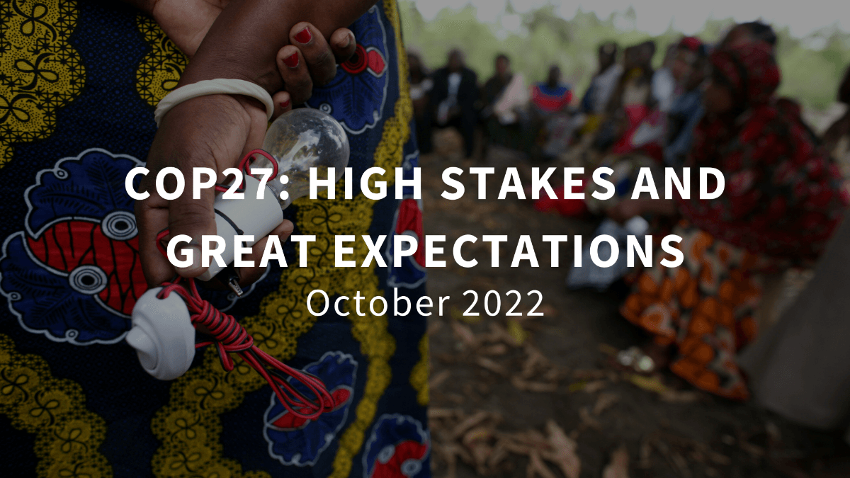 COP27: High Stakes and Great Expectations